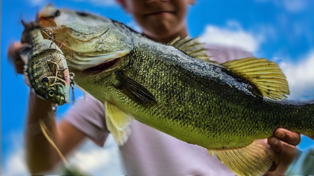 TK Tackle – We Catch Fish!